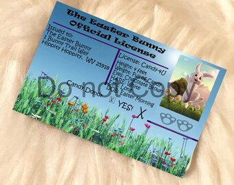 Easter Bunny License Blue PNG, Sublimation Designs, Instant Digital ...