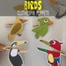 Bird Clothespin Puppet: Printable Paper Craft Game (digital Download ...