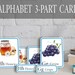 ALPHABET Printable Flashcards , Montessori Three Part ABC Flashard for ...