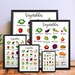 Garden Vegetable Poster, Downloadable Prints Montessori Educational ...