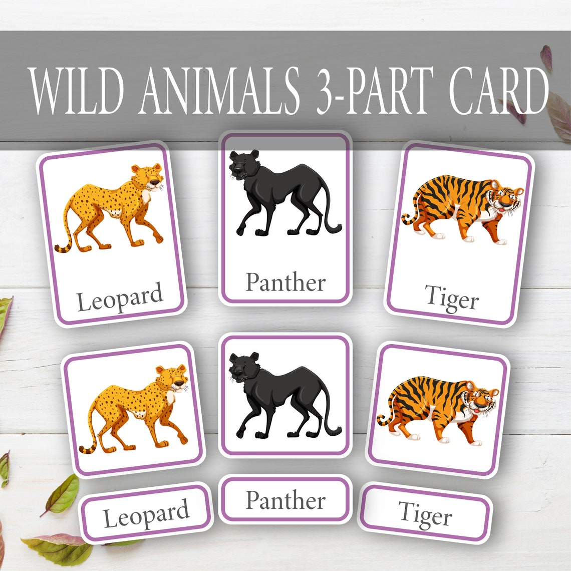 Wild Animals Flash Cards: Montessori Jungle Animals (PDF) - Etsy
