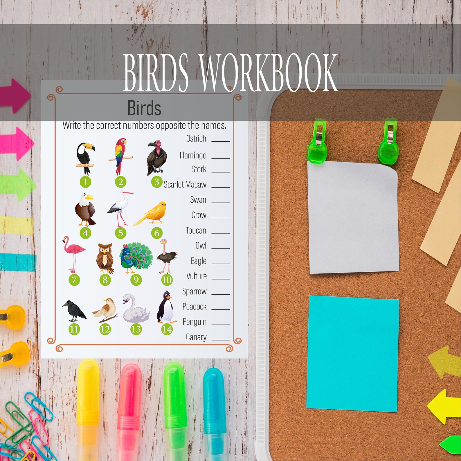 Bird Printable Toddler Busy Book, Montessori Toddler Animal Worksheet ...