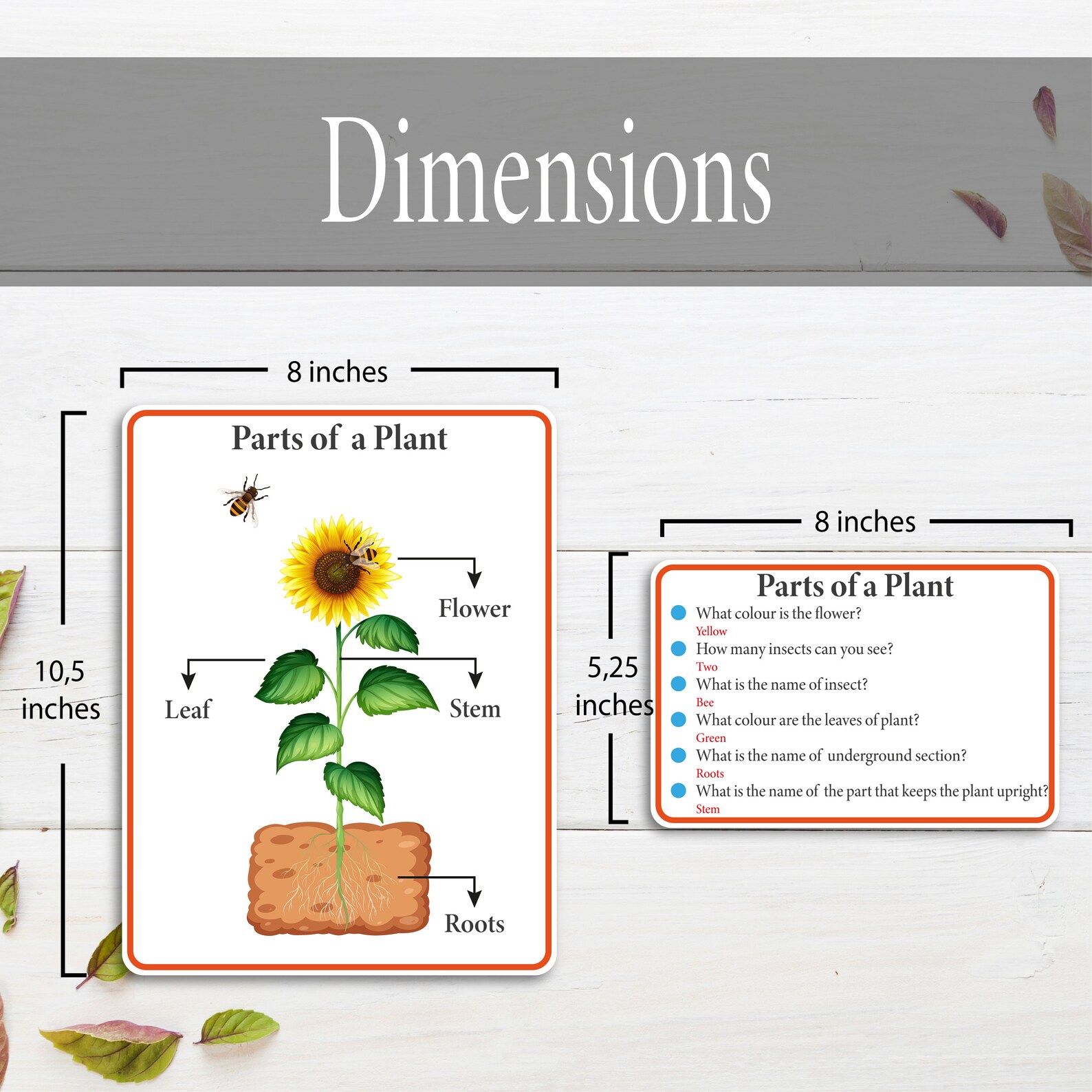 Biology Question-answer Game Cards, Montessori Toddler Game Cards for ...