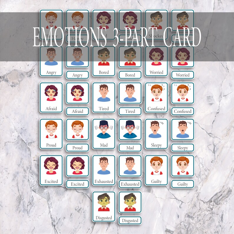 Emotion Flashcards Feelings Flash Cards Montessori - Etsy