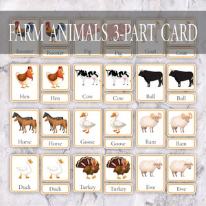 Farm Animals Three Part Flash Cards, Printable Download, Homeschooling ...