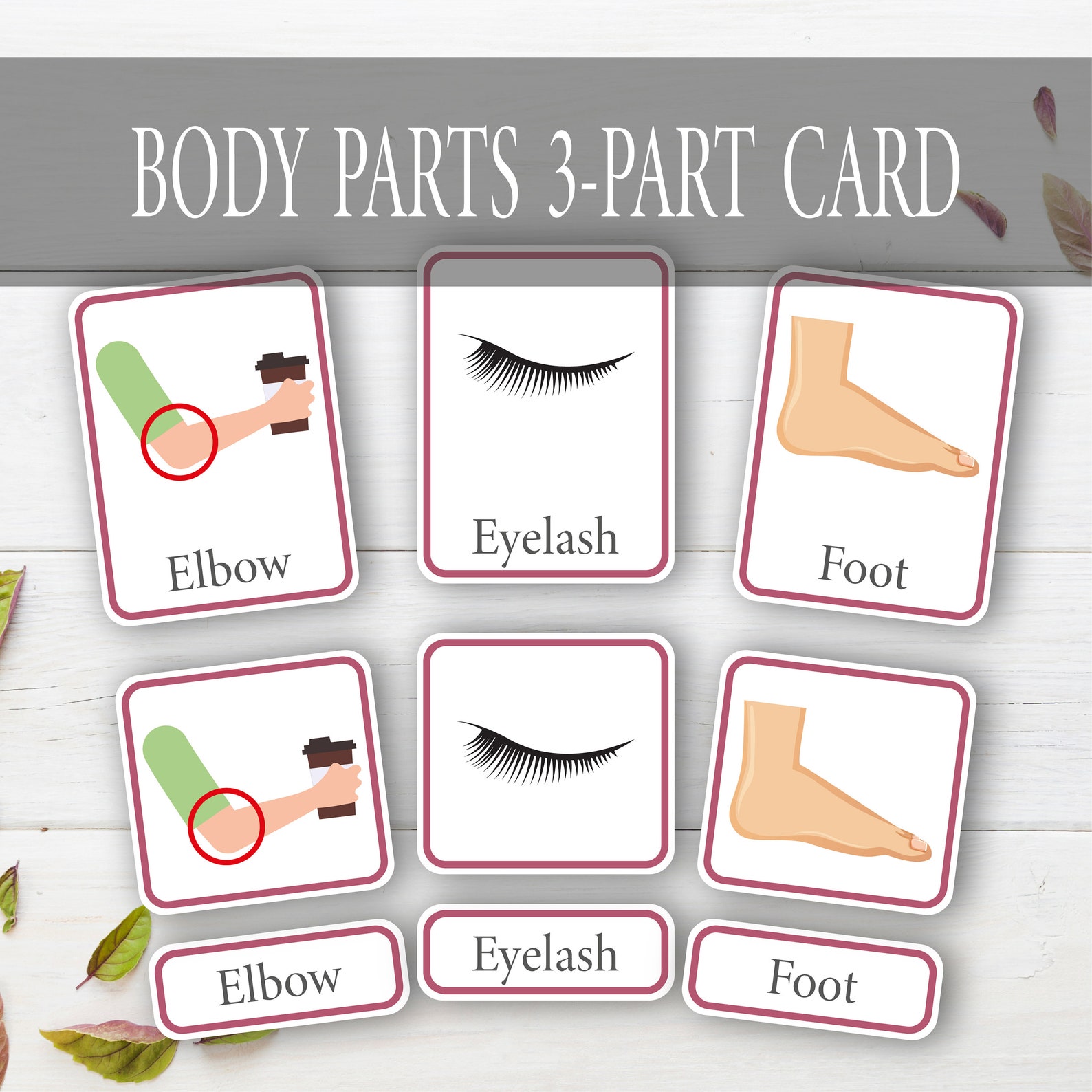 BODY PARTS Three Part Flash Cards, Printable Montessori Toddler ...