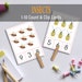 INSECTS 1-10 Count and Clip Cards Watercolor BUGS Printable Number ...