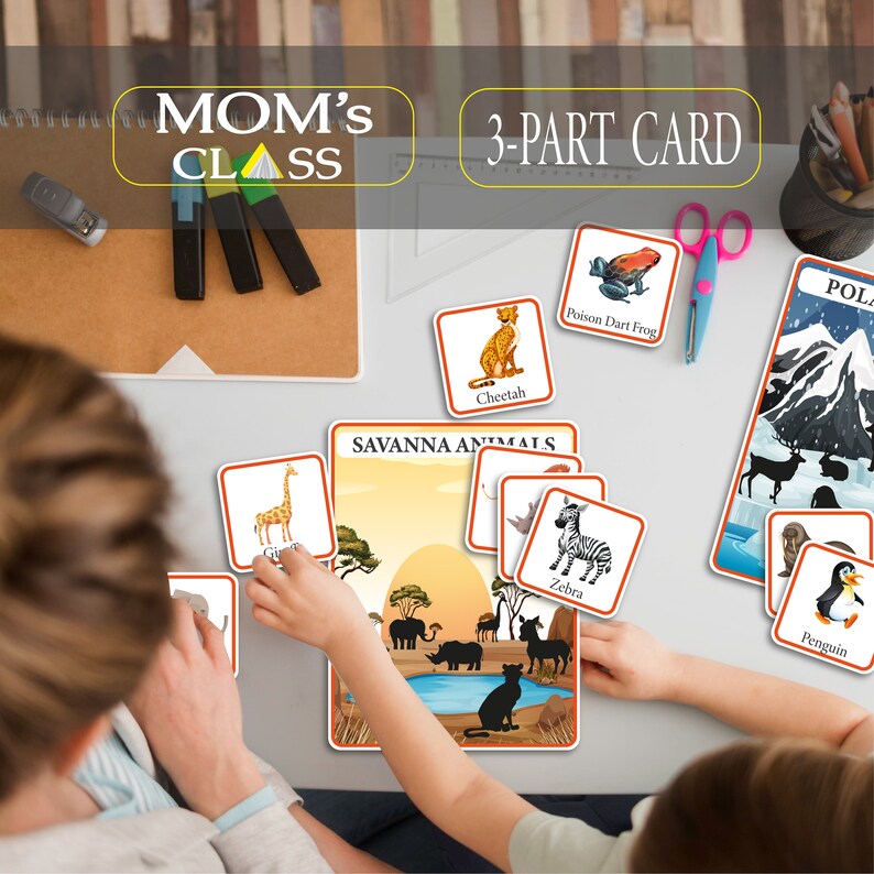 Where Do Animals Live Matching Game Cards, Montessori Toddler Matching ...