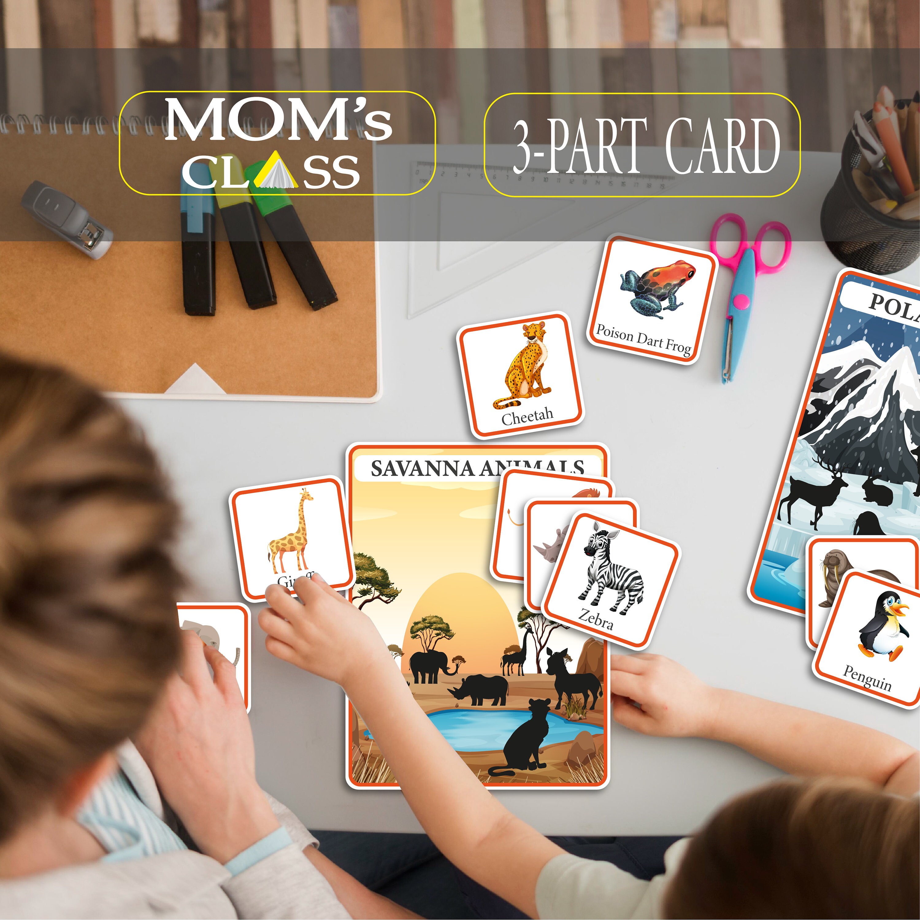 Where Do Animals Live Matching Game Cards, Montessori Toddler Matching ...