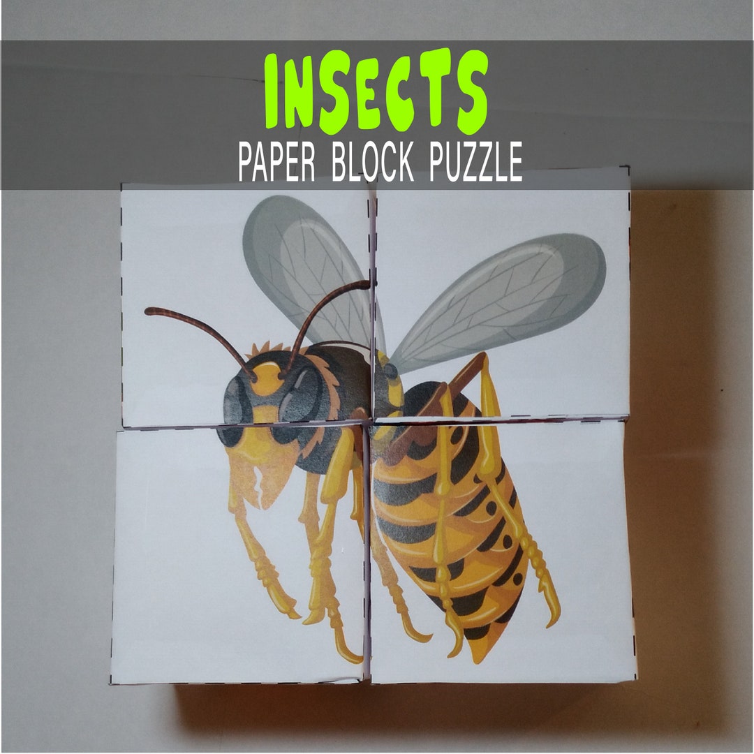 INSECT Bug Animal Puzzle Paper Cubes Printable Blocks Toddler Busy Book ...