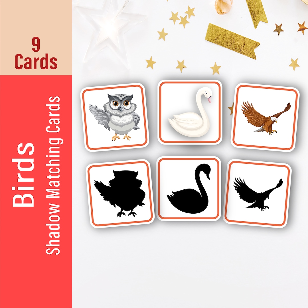 Birds Shadow Matching Game Cards, Montessori Toddler Matching Game ...