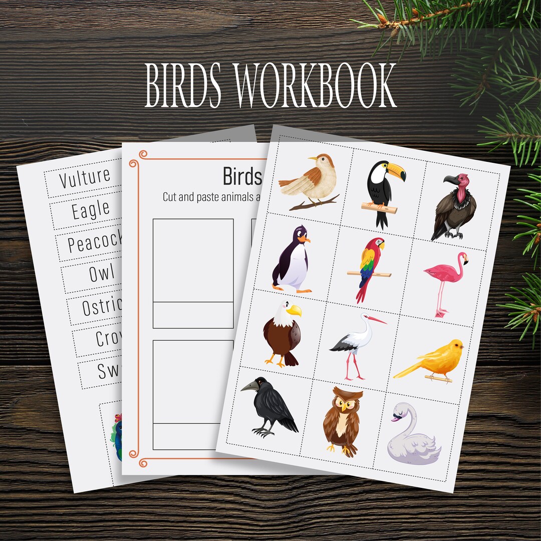 Bird Printable Toddler Busy Book, Montessori Toddler Animal Worksheet ...