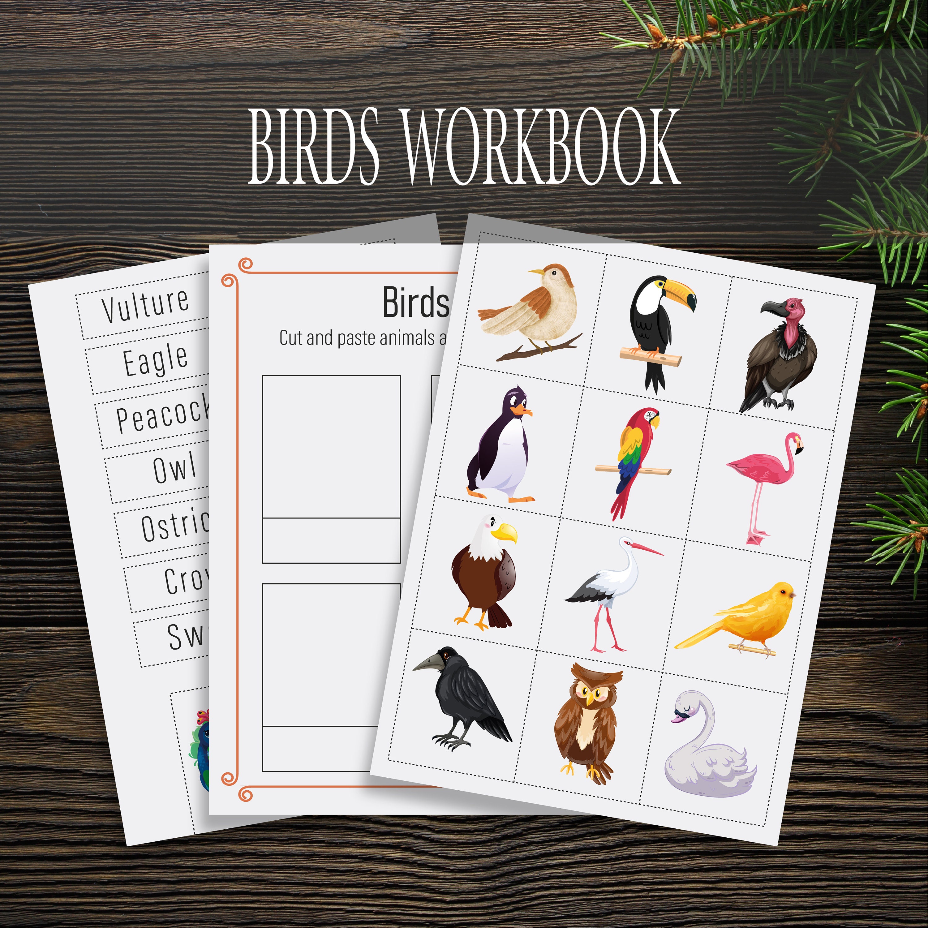 Bird Printable Toddler Busy Book, Montessori Toddler Animal Worksheet ...
