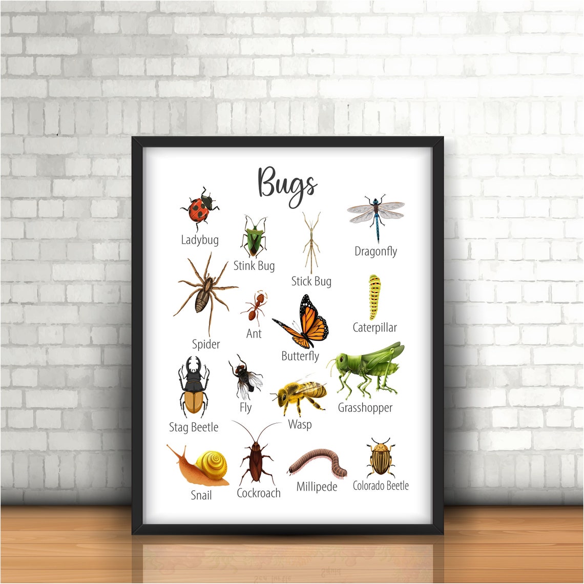 Insect Classroom Posters, Educational Printable Bug Posters for ...