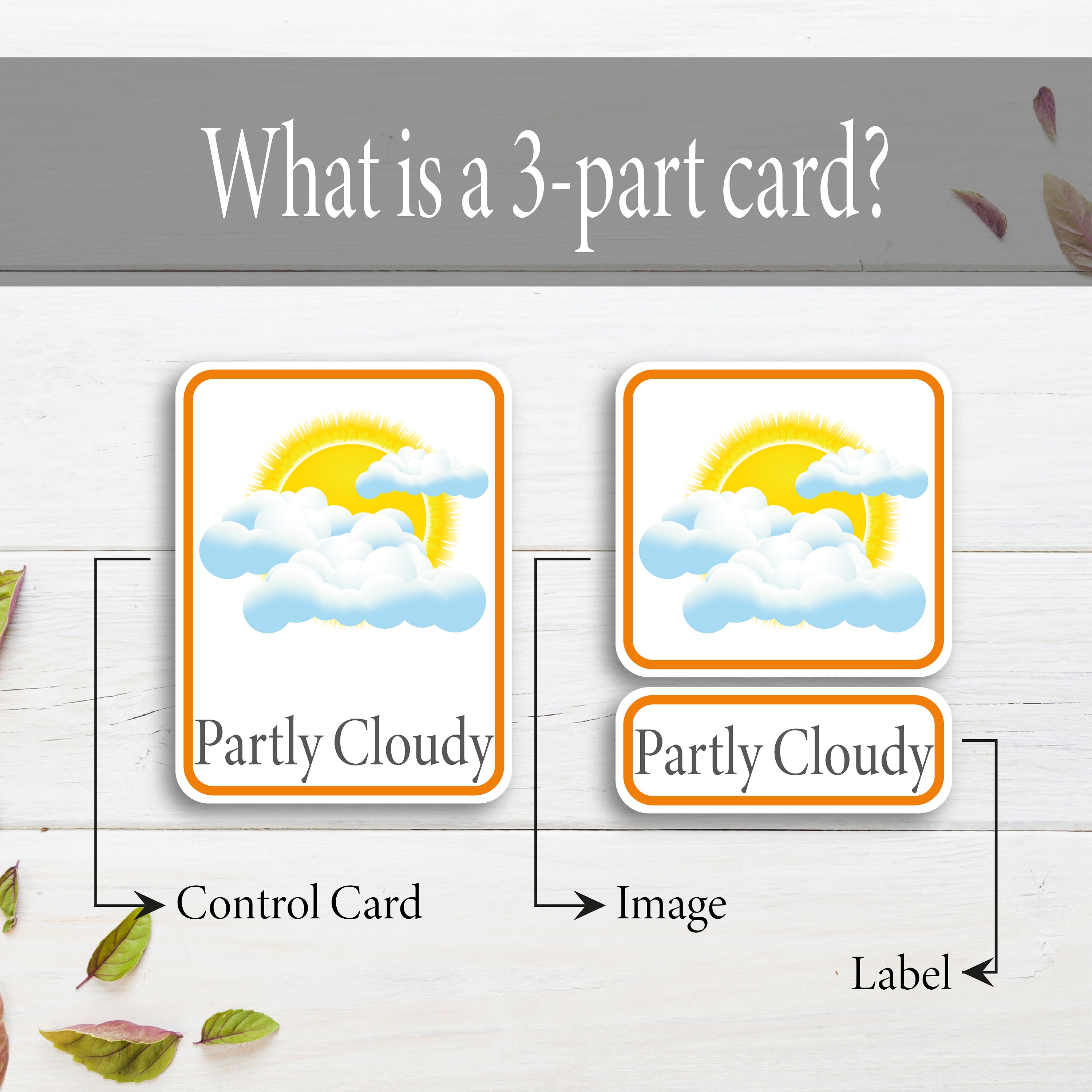 WEATHER and SEASONS Three Part Flash Cards, Nomenclature Cards, Earth ...