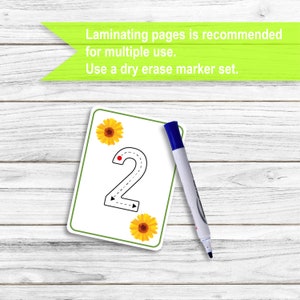 NUMBERS (1-20) Tracing and Counting Printable Flashcards, Montessori ...