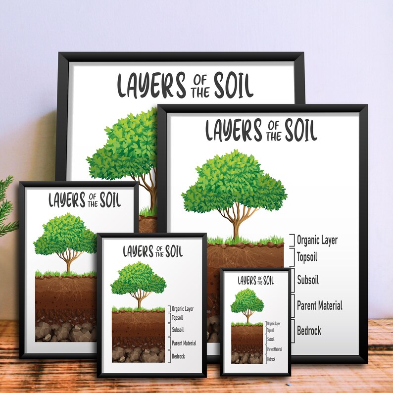 Layer of the Soil Poster, Earth, Montessori Materials, Homeschool ...