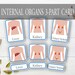 INTERNAL ORGANS Three Part Printable Nomenclature Montessori Flash ...