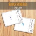 ROMAN NUMERALS 1-100 Clip Cards, Math Flash Cards, Educational ...
