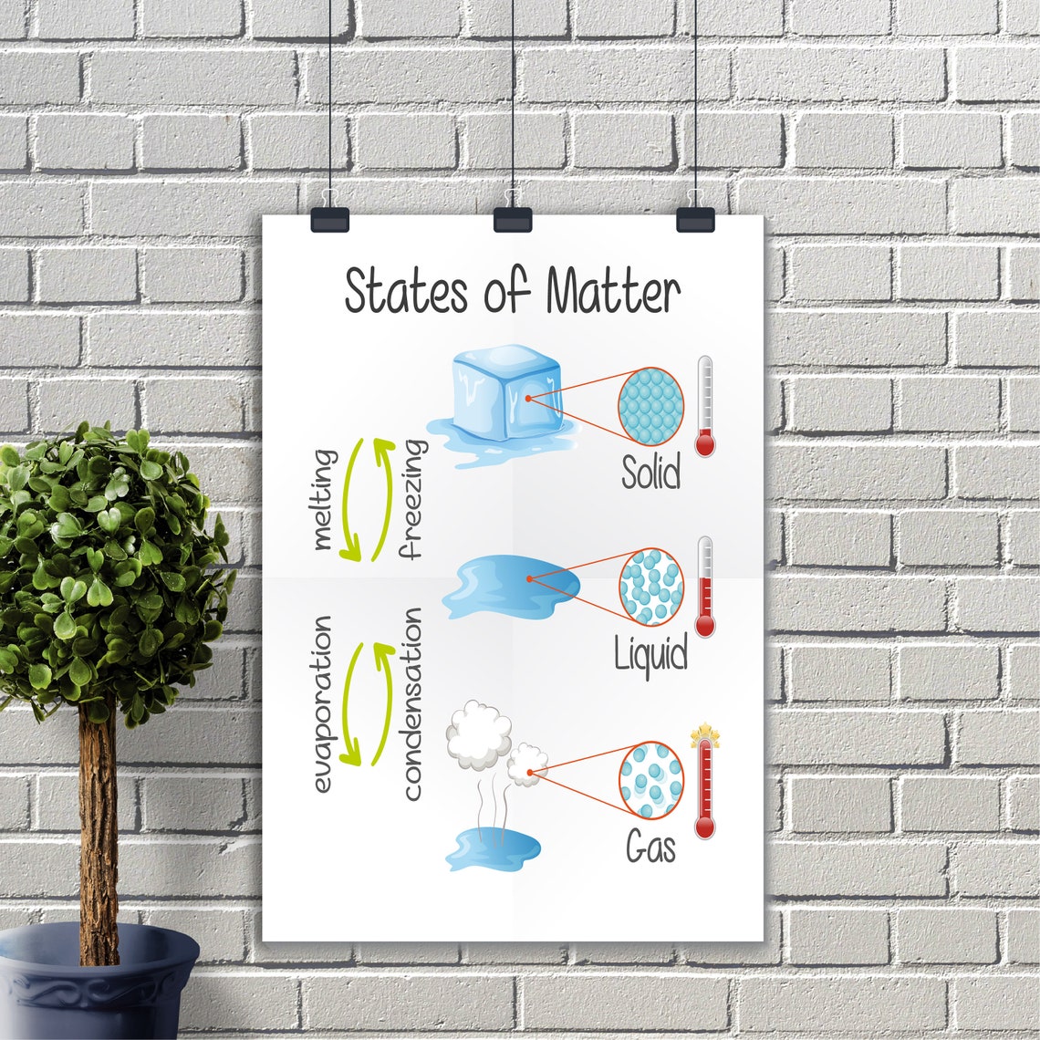 Póster imprimible de States of Matter, Ciencias de los niños, Educación ...