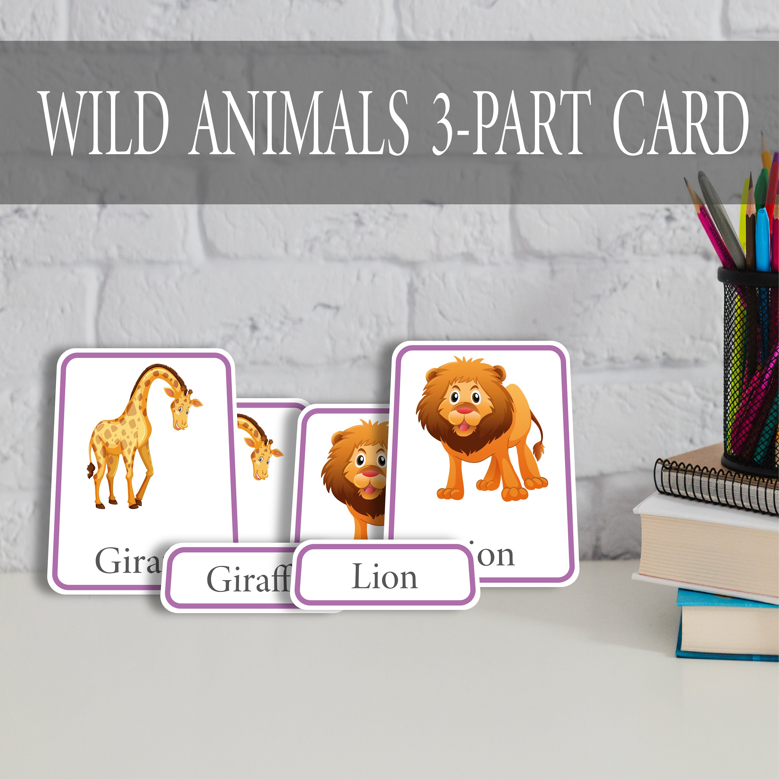 Wild Animals Flash Cards: Montessori Jungle Animals (PDF) - Etsy