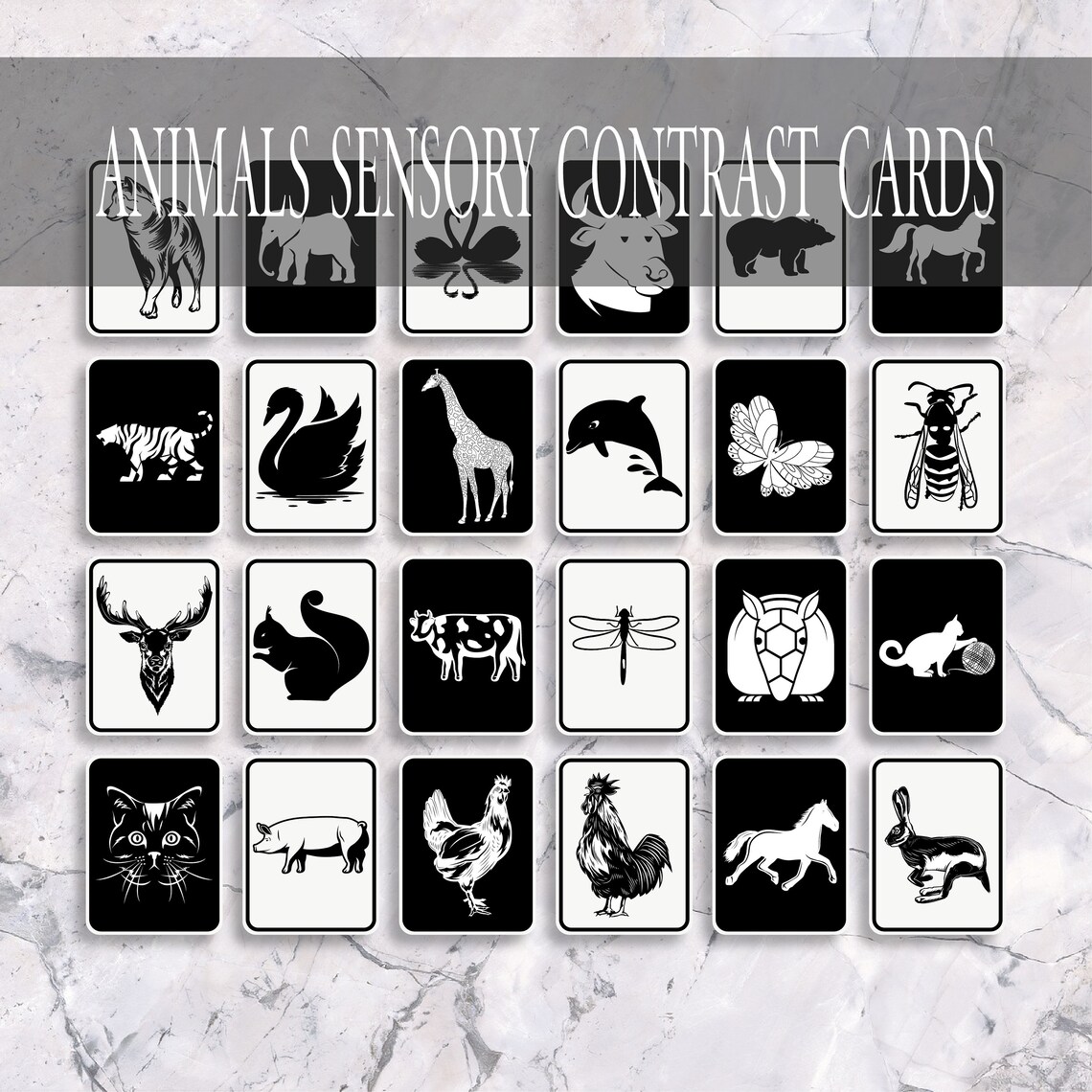 Animals High Contrast Baby Cards Baby Contrast Cards For | Etsy