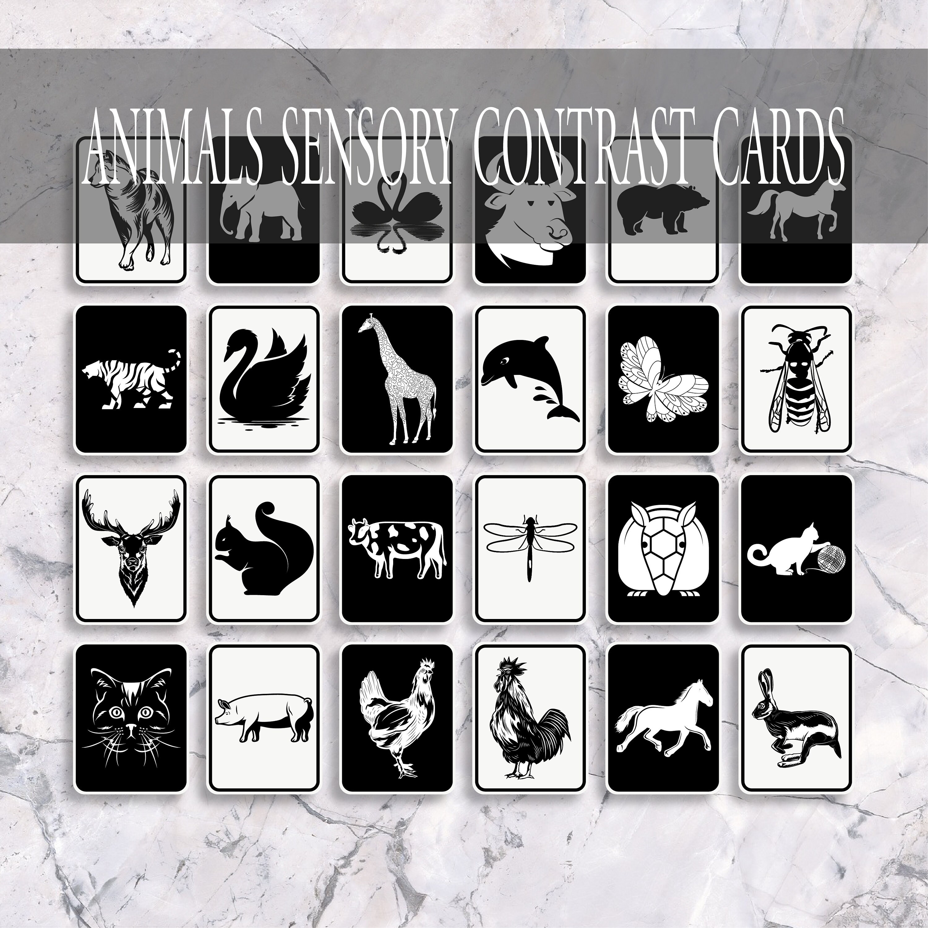 Animals High Contrast Baby Cards Baby Contrast Cards for - Etsy