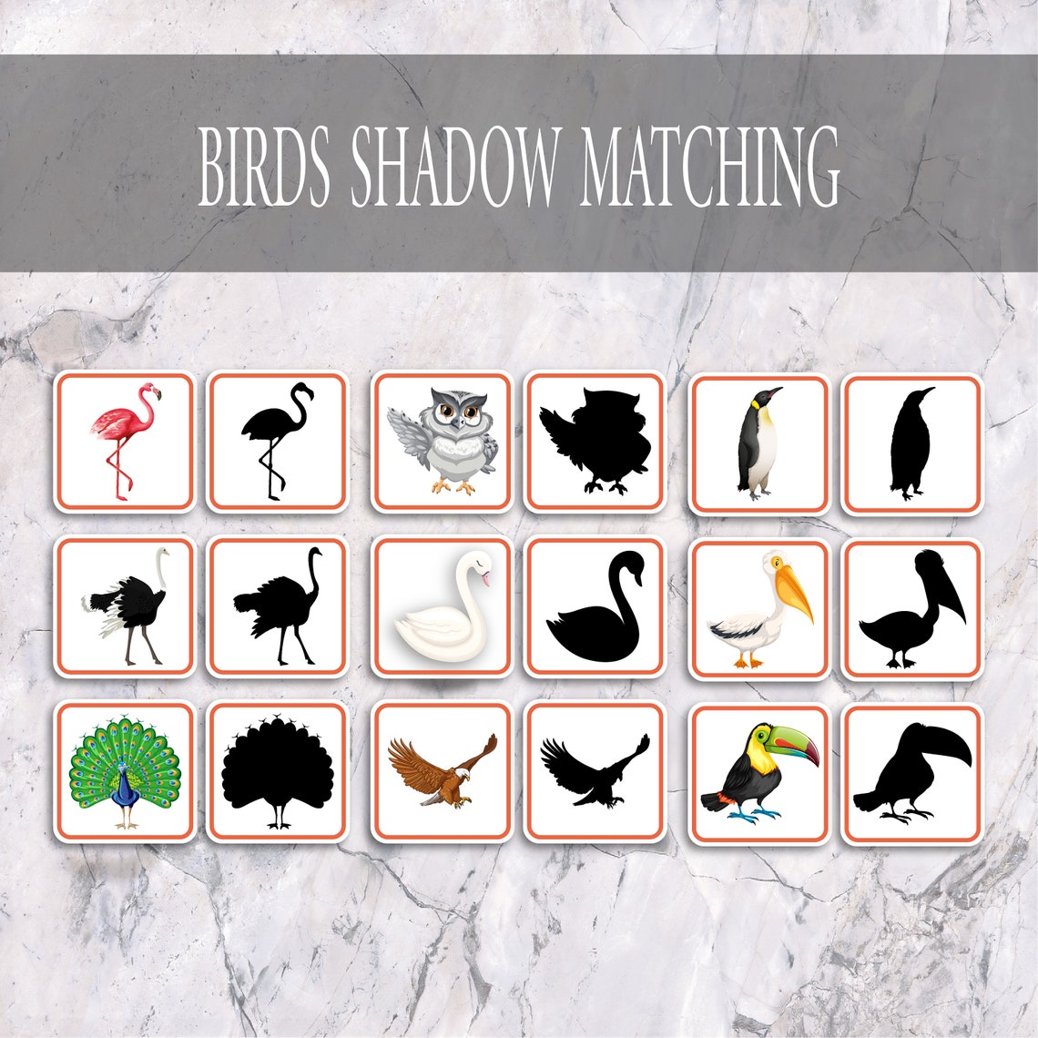 Birds Shadow Matching Game Cards Montessori Toddler Matching - Etsy