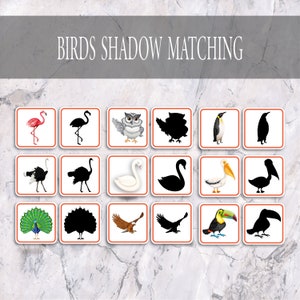 Birds Shadow Matching Game Cards, Montessori Toddler Matching Game ...