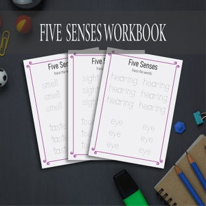 Five Senses Printable Toddler Busy Book, Montessori Five Senses ...