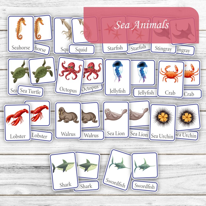 Animal Flashcards Set: Life Cycle, Tangram Game (PDF) - Etsy