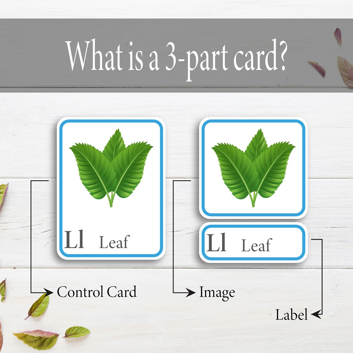 ALPHABET Printable Flashcards Montessori Three Part ABC - Etsy