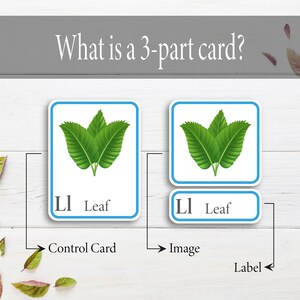 ALPHABET Printable Flashcards , Montessori Three Part ABC Flashard for ...