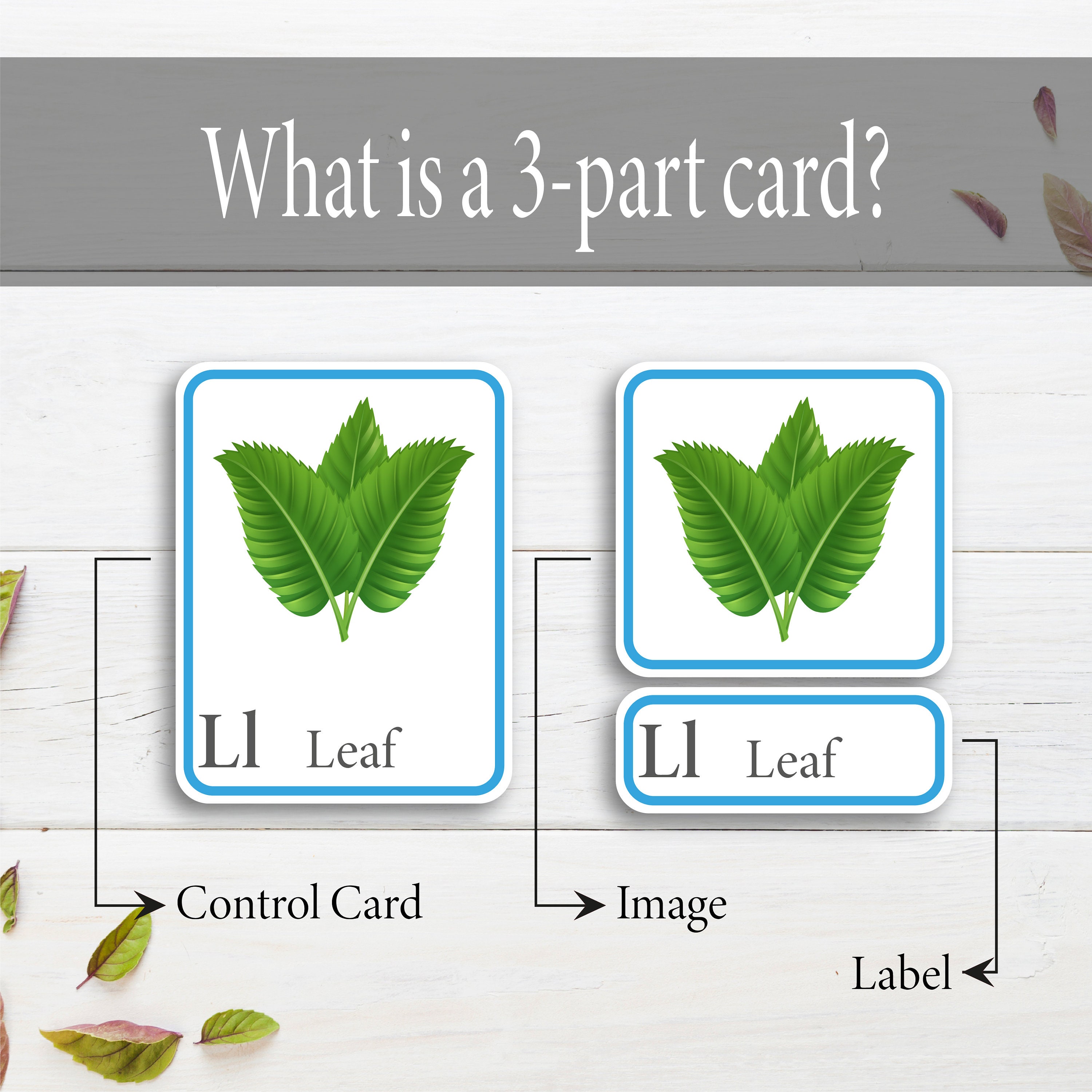 ALPHABET Printable Flashcards , Montessori Three Part ABC Flashard for ...