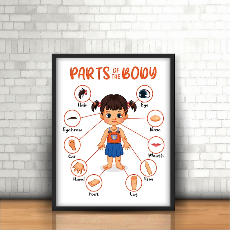 Parts of Body Poster Printable Educational Human Body Poster - Etsy