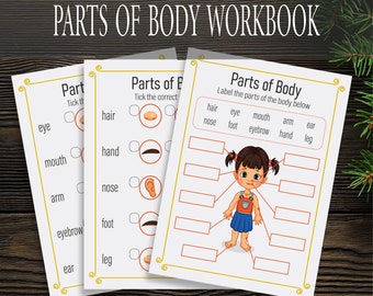 Body Parts Busy Book - Etsy