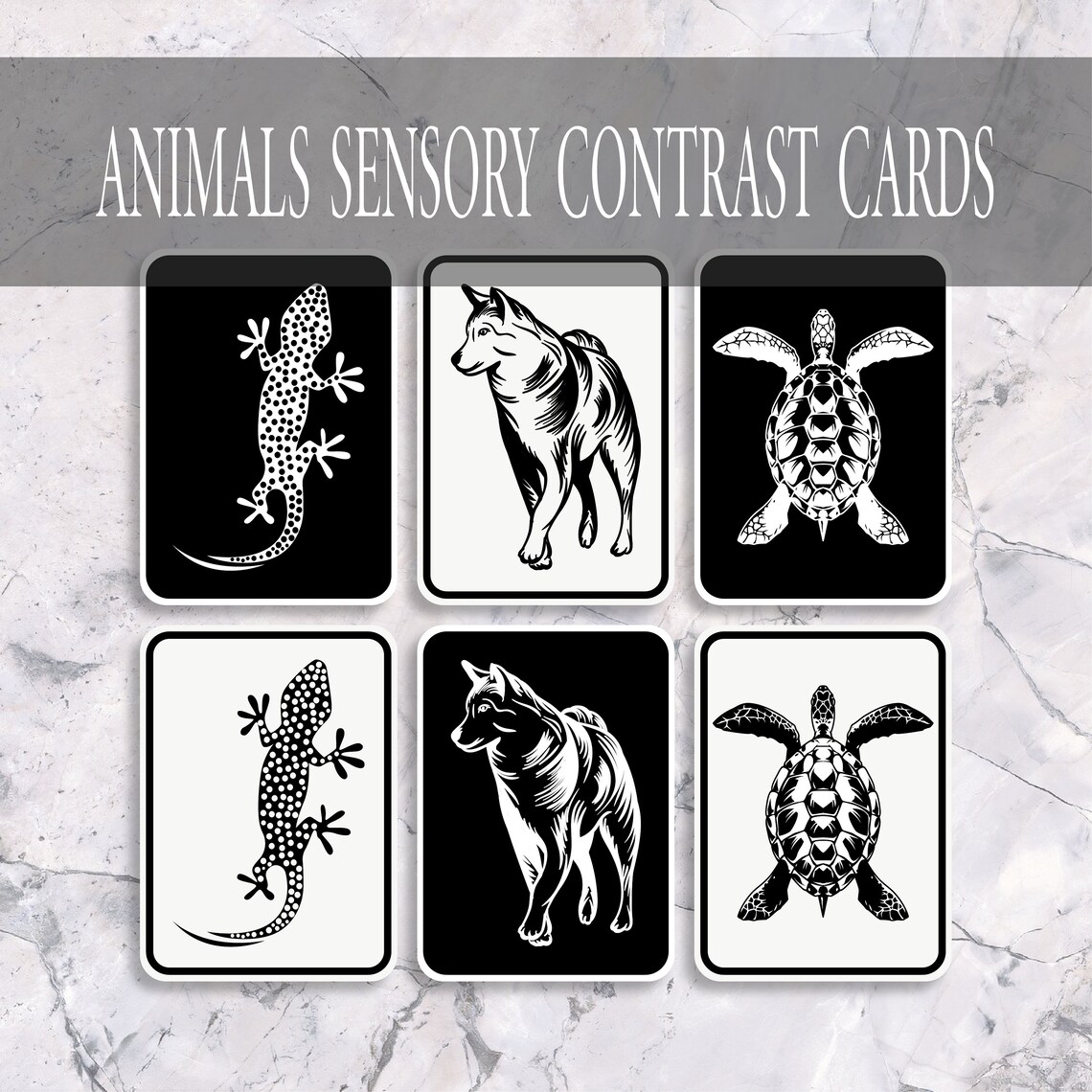 Animals High Contrast Baby Cards Baby Contrast Cards For | Etsy