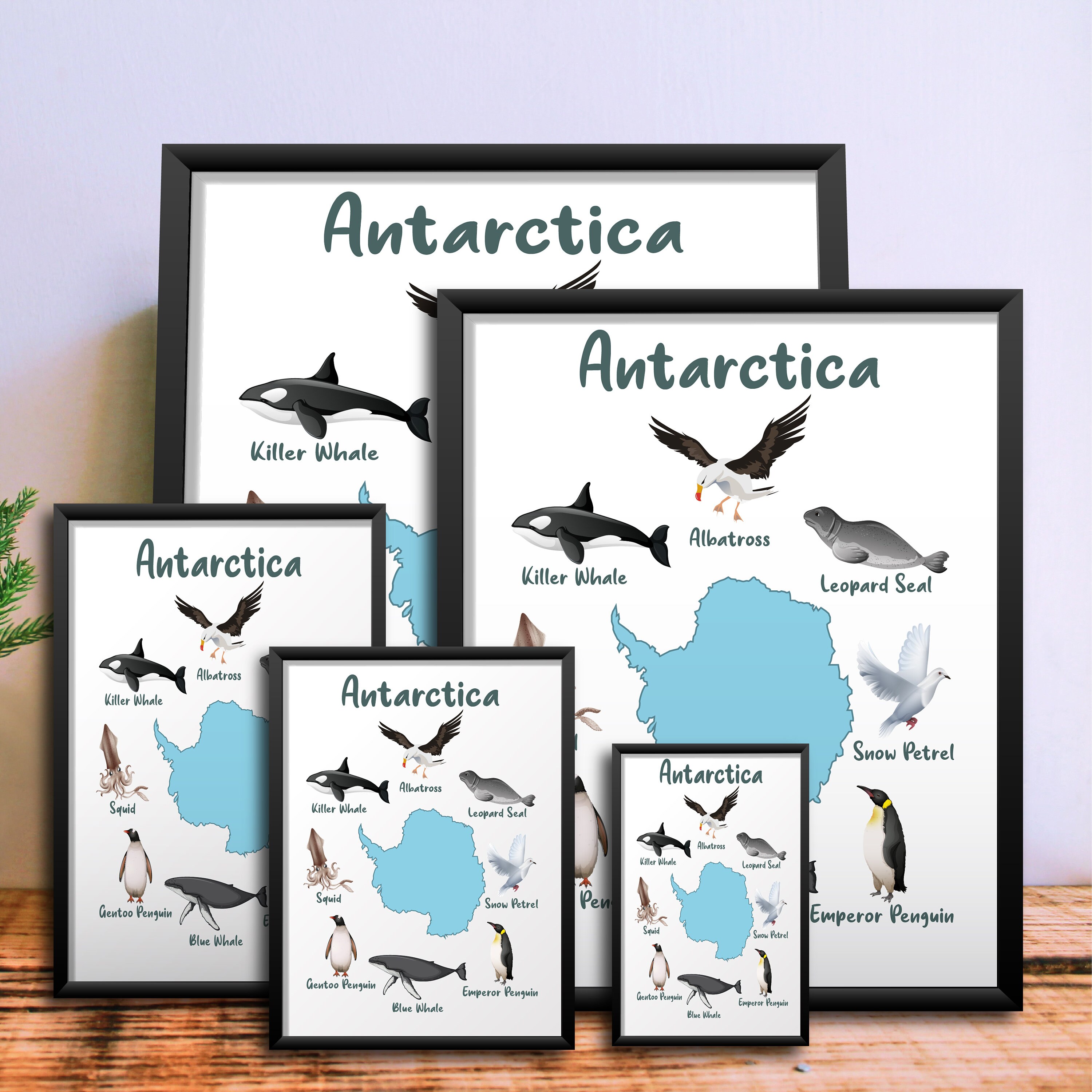 Antarctica Animals Poster antarctica Animals Illustration Kids Room ...