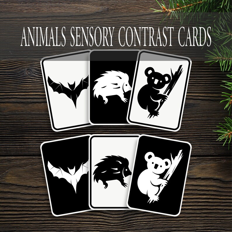 Animals High Contrast Baby Cards Baby Contrast Cards for - Etsy