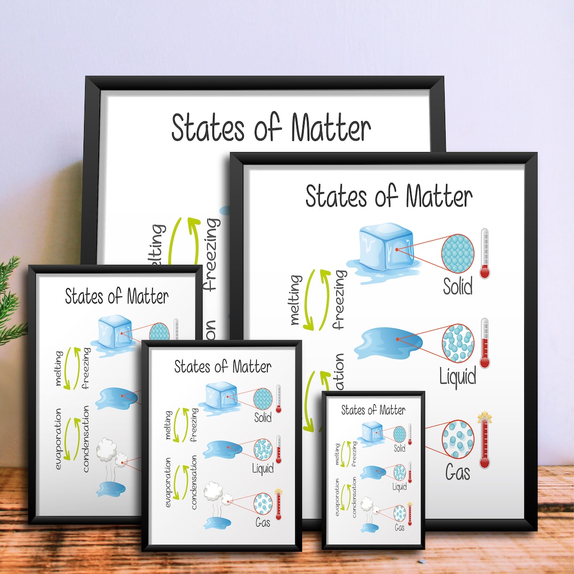 States of Matter Printable Poster Kids Science Homeschool - Etsy