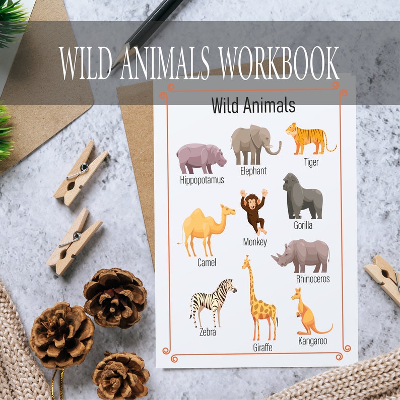 Wild Animals Workbook: Montessori Toddler Learning (PDF) - Etsy