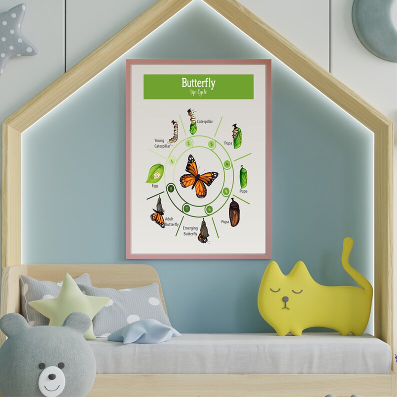 Life Cycle of Butterfly Poster, Animal Printable, Montessori ...
