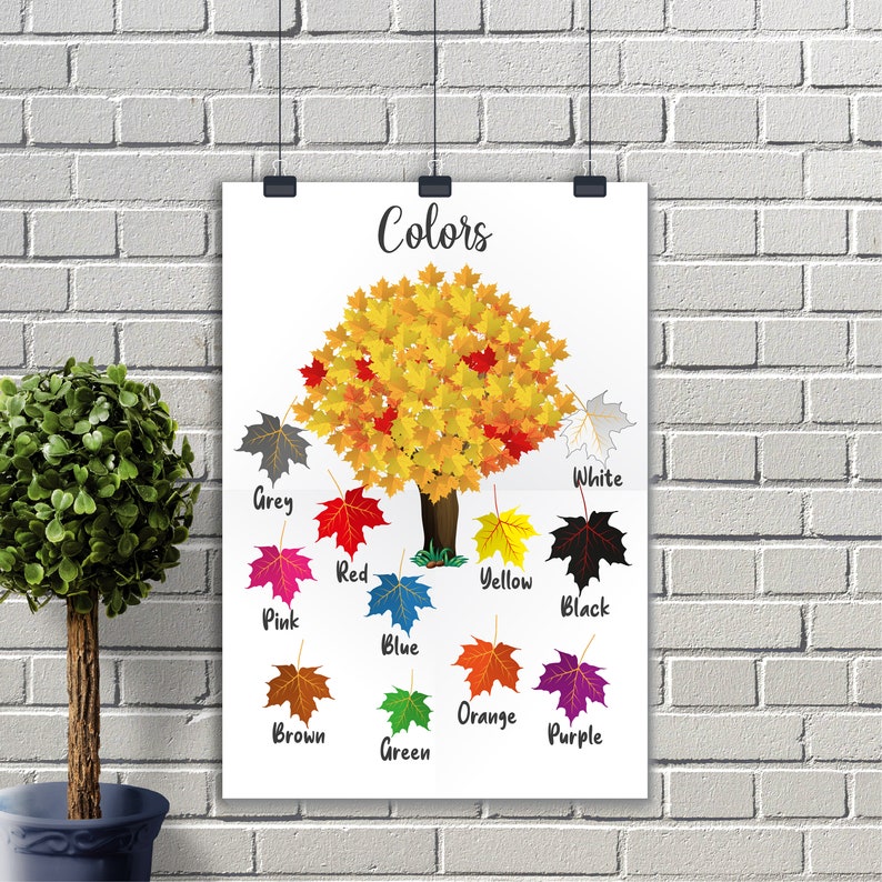 Color Poster Rainbow Classroom Decor Montessori Toddler - Etsy