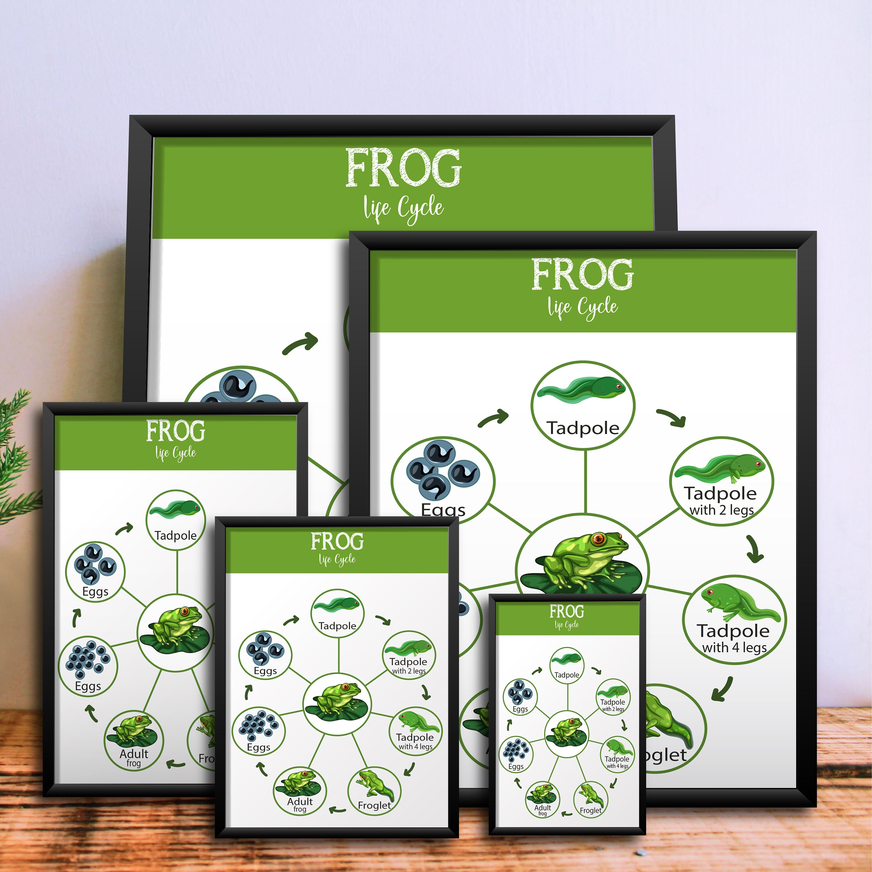 Life Cycle of a Frog Poster, Playroom Montessori Wall Art, Nursery ...