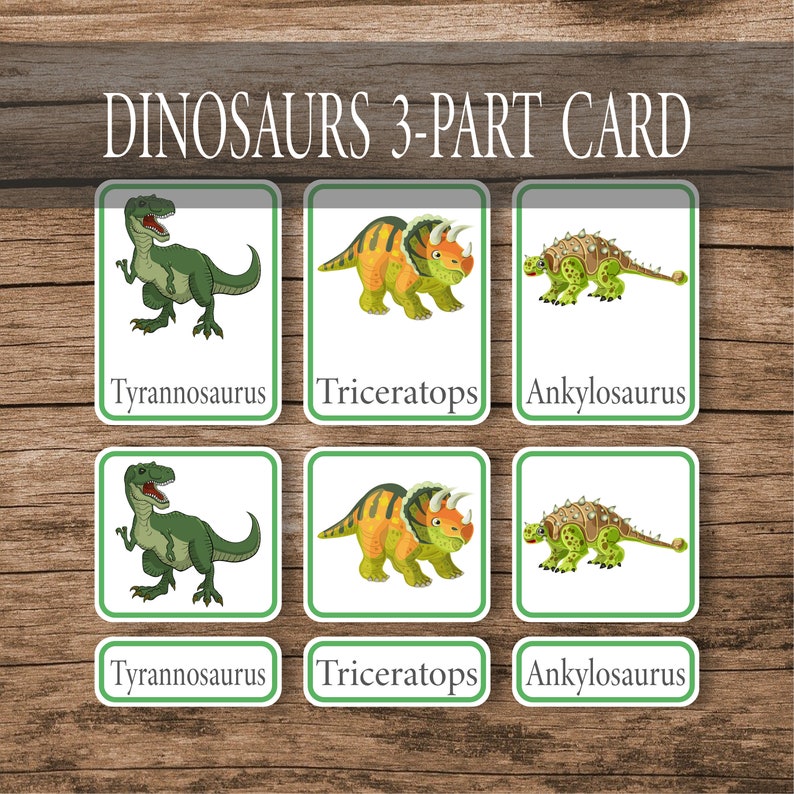 DINOSAURS Three Part Flash Cards, Montessori Printable Flashcards ...