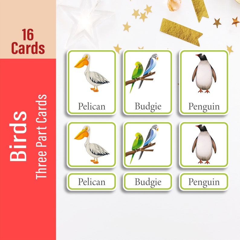 BIRD Three Part Flash Cards, Homeschool Animal Printable for Kids ...