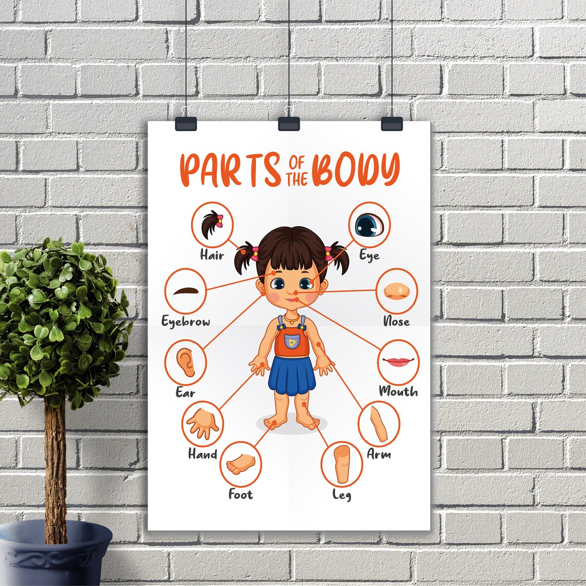 Parts of Body Poster Printable Educational Human Body Poster - Etsy