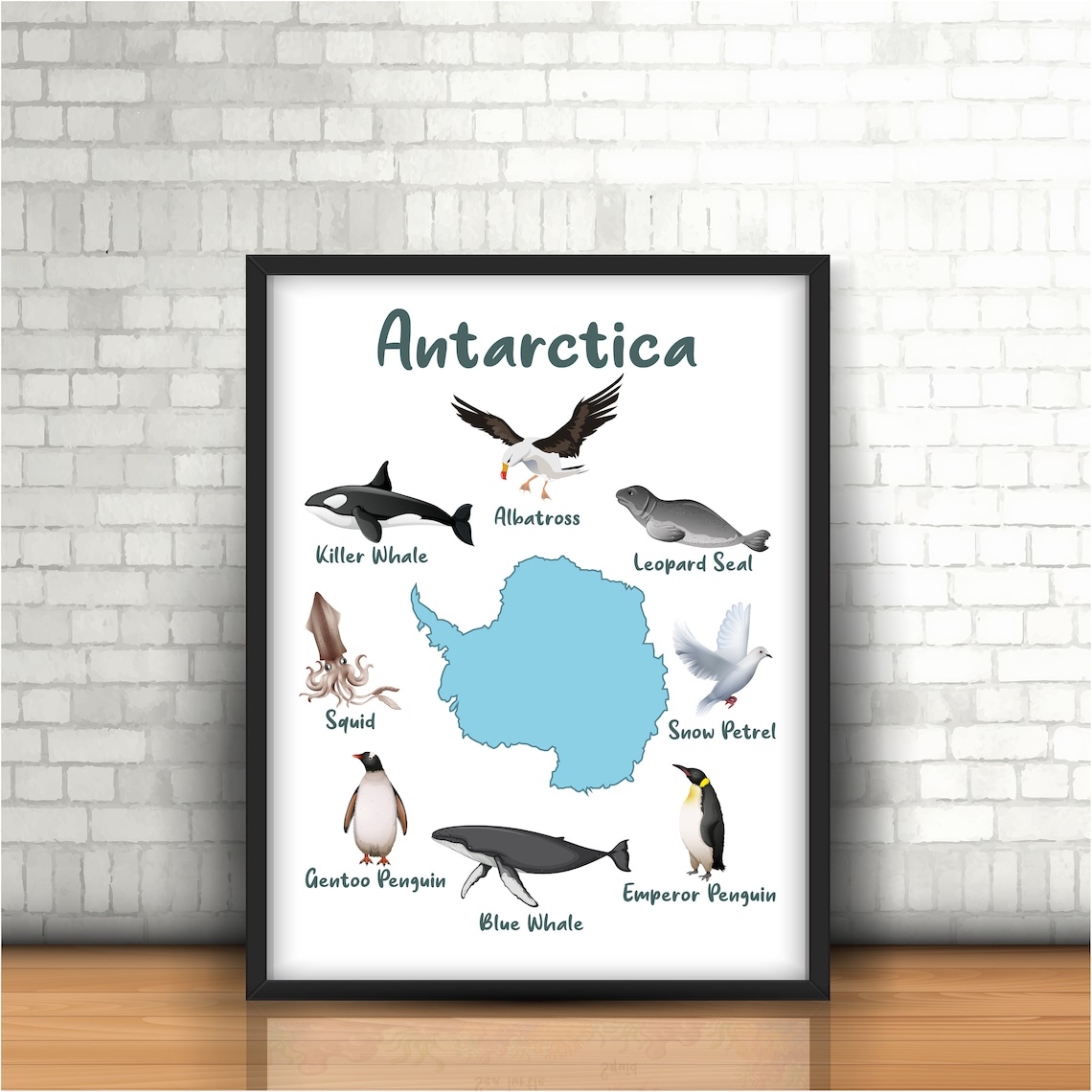 Antarctica Animals Poster Montessori Toddler Animal Prints | Etsy