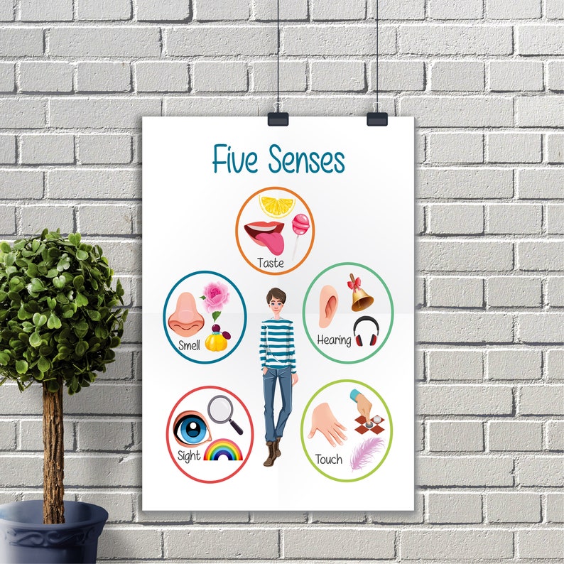 Five Senses Poster, Montessori Classroom Decor, Playroom Wall Art for ...