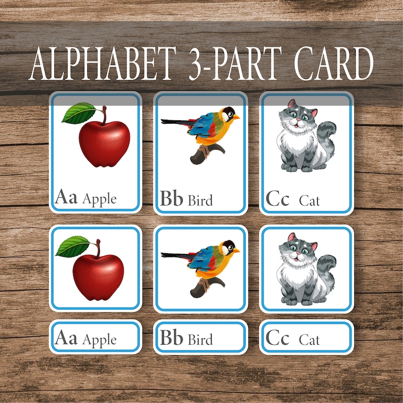 ALPHABET Printable Flashcards , Montessori Three Part ABC Flashard for ...
